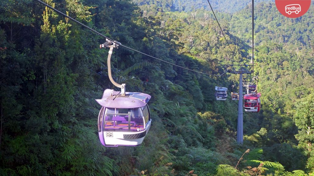redBus Exclusive Deal: Get Round-Trip Skyway Standard Gondola Tickets ...